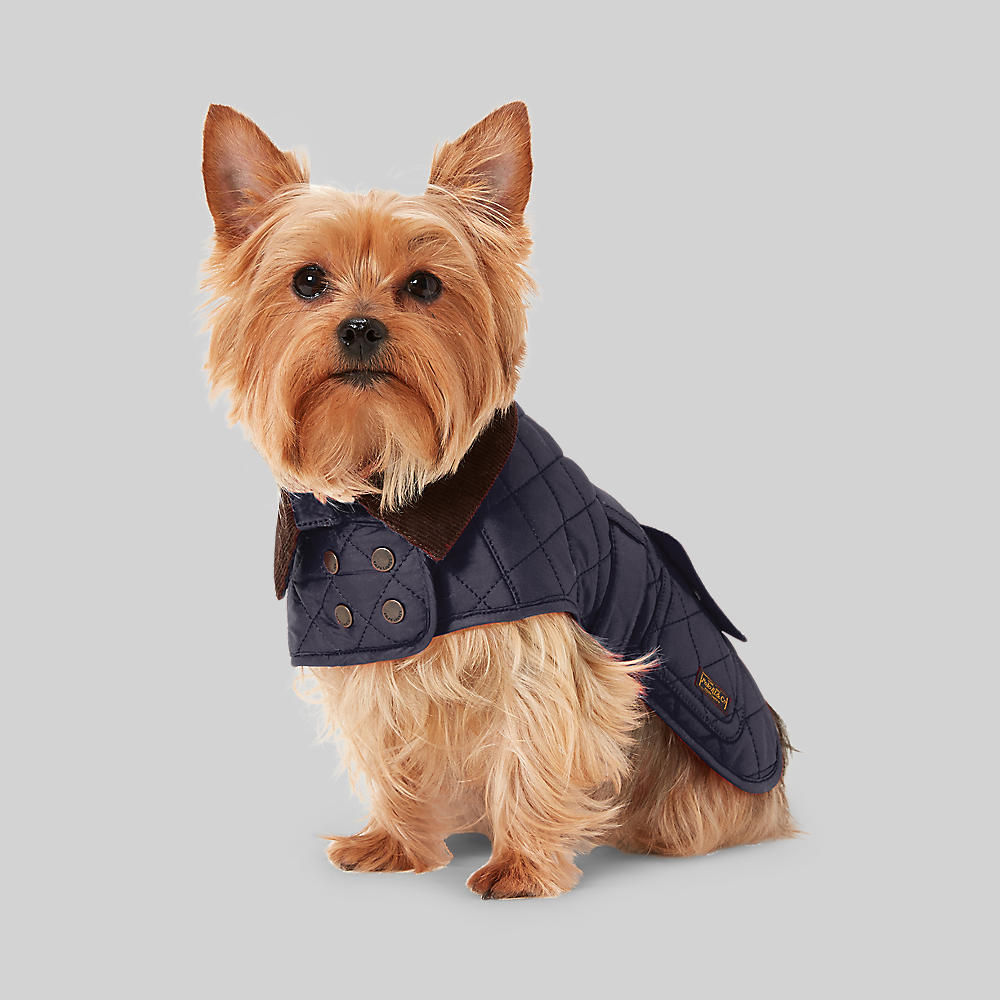 Polo Ralph Lauren เปิด Pet Collection เจ้าของและสัตว์เลี้ยงแมทช์ชุดให้สนุก!