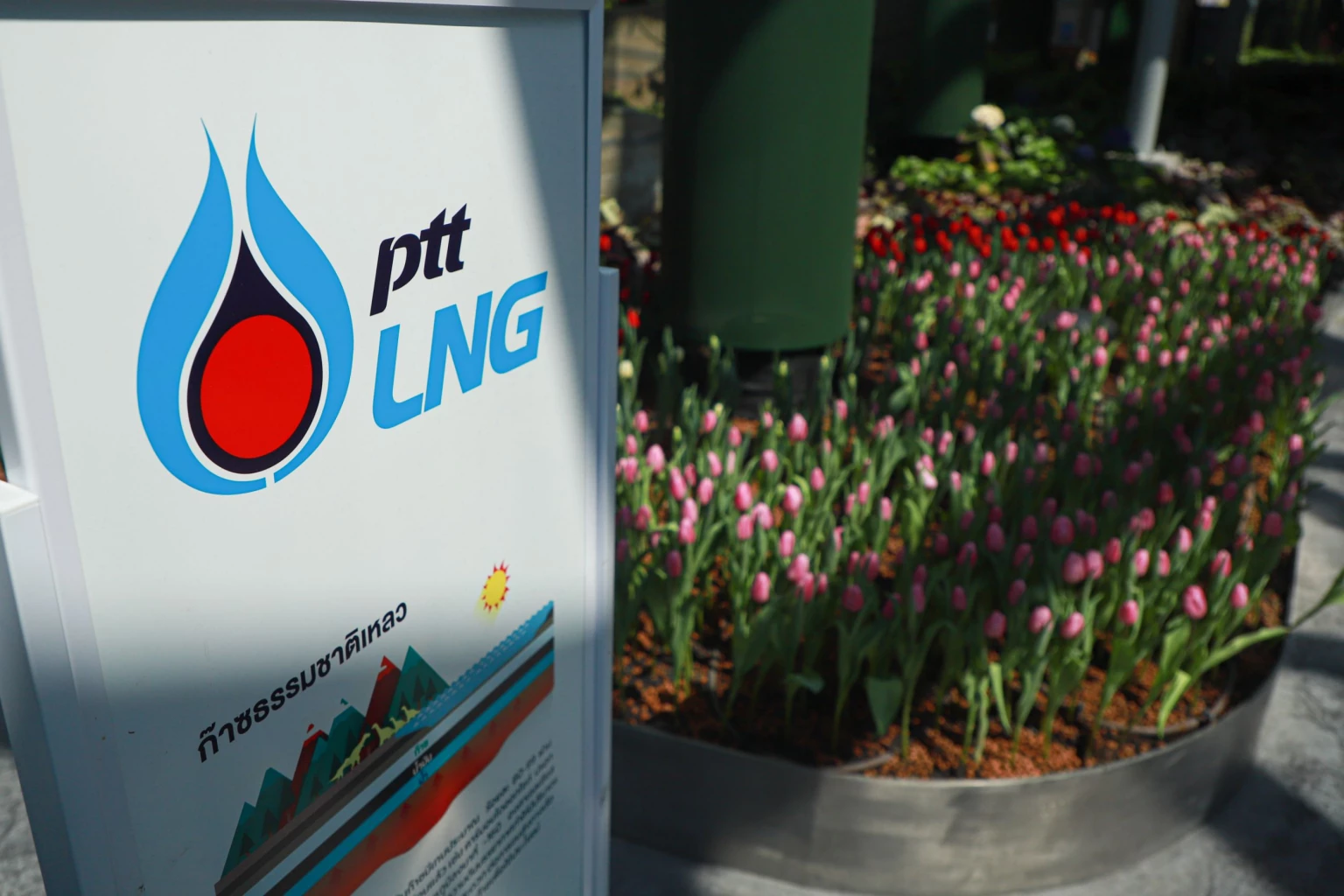 พลังงานความเย็นจาก LNG หนึ่งในการพัฒนาพลังงานเพื่อความยั่งยืนของ PTTLNG