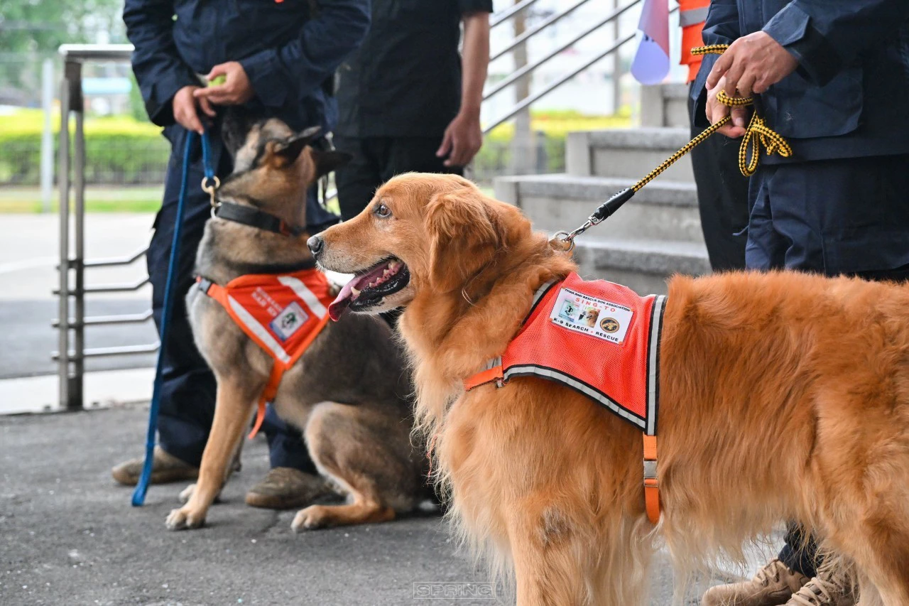 รวมพลังส่งแรงใจไปตุรกี K9 USAR Thailand