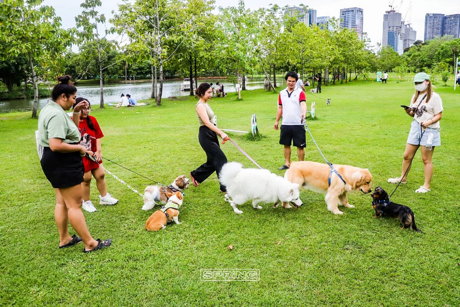 พื้นที่ปล่อยพลังของเหล่าเพื่อน 4 ขา Pet Pak ณ สวนวชิรเบญจทัศ (สวนรถไฟ)