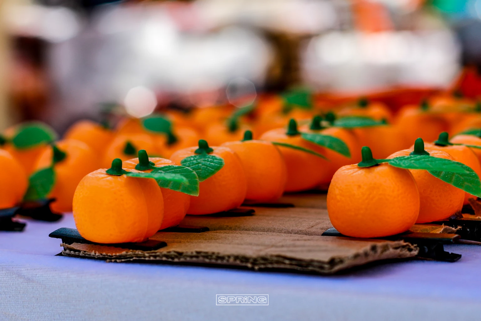 จัดเต็ม คอลเลคชั่น ด้อมส้ม โหวตเลือกนายก นัดแรกวันนี้