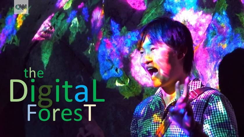 The Digital Forest ป่าดิจิทัล เปิดมุมมองใหม่ของคำว่า “ป่า”