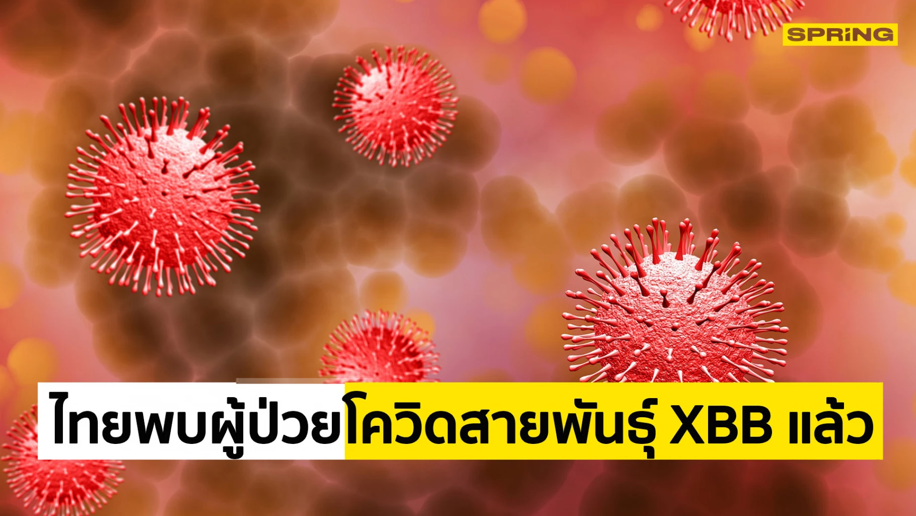 สธ.ยันไทยพบผู้ติดโควิด "สายพันธุ์ XBB" 2 ราย อาการไม่หนัก ย้ำอย่าตื่นตระหนก