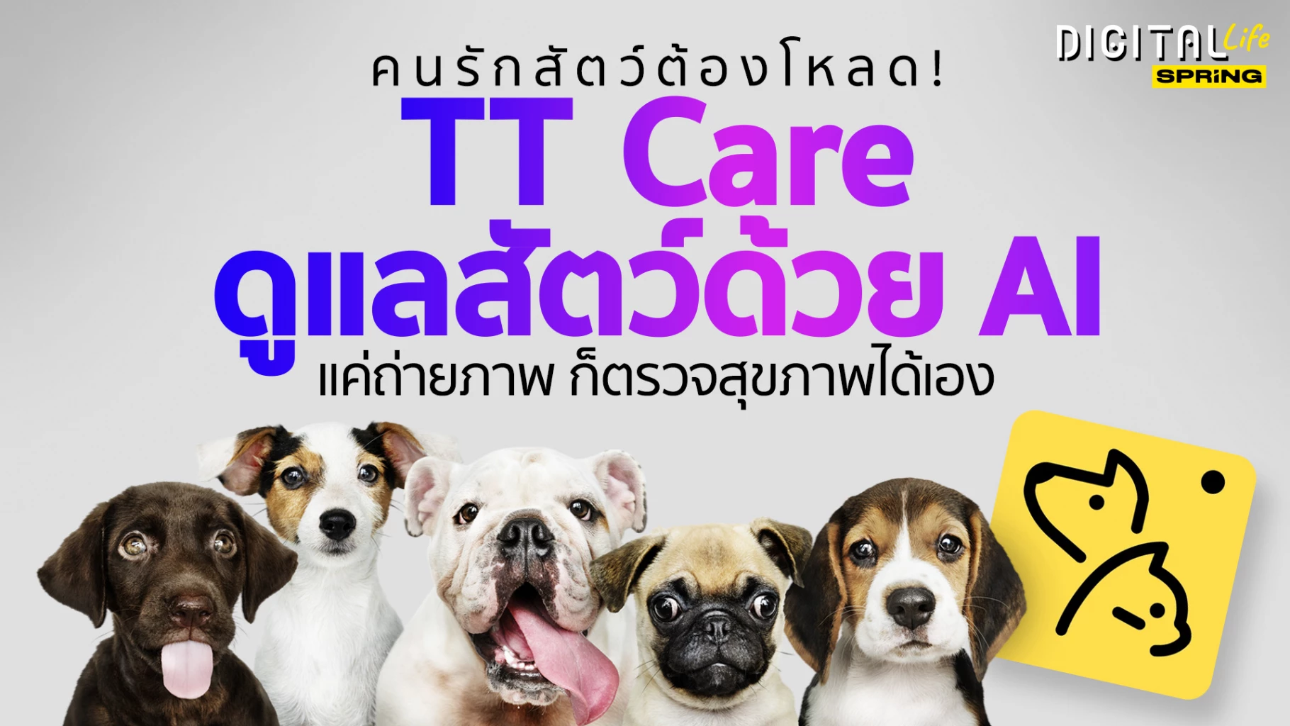 ทาสหมา-แมวต้องโหลด! แอปพลิเคชั่น TTcare แค่ถ่ายรูป ก็ตรวจสุขภาพได้ง่ายๆ