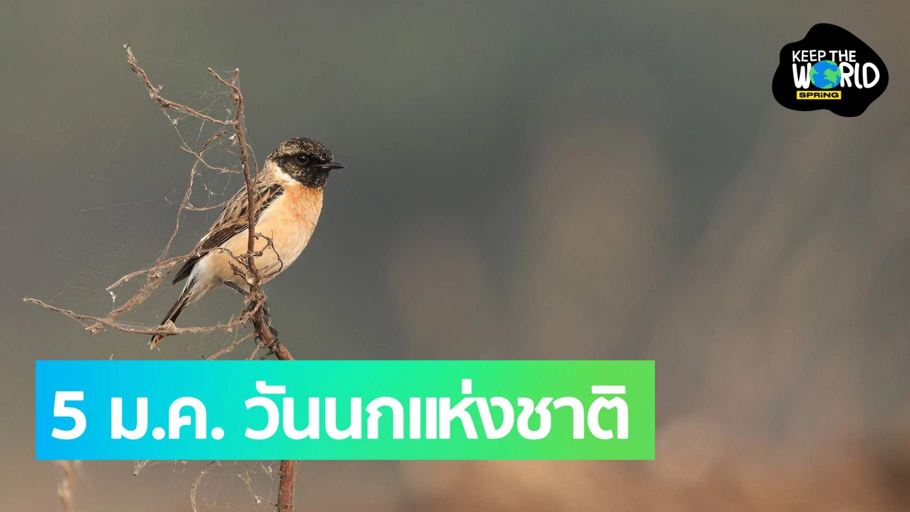 5 ม.ค. 2566 วันนกแห่งชาติ : สัตว์ที่เป็นส่วนสำคัญของระบบนิเวศ