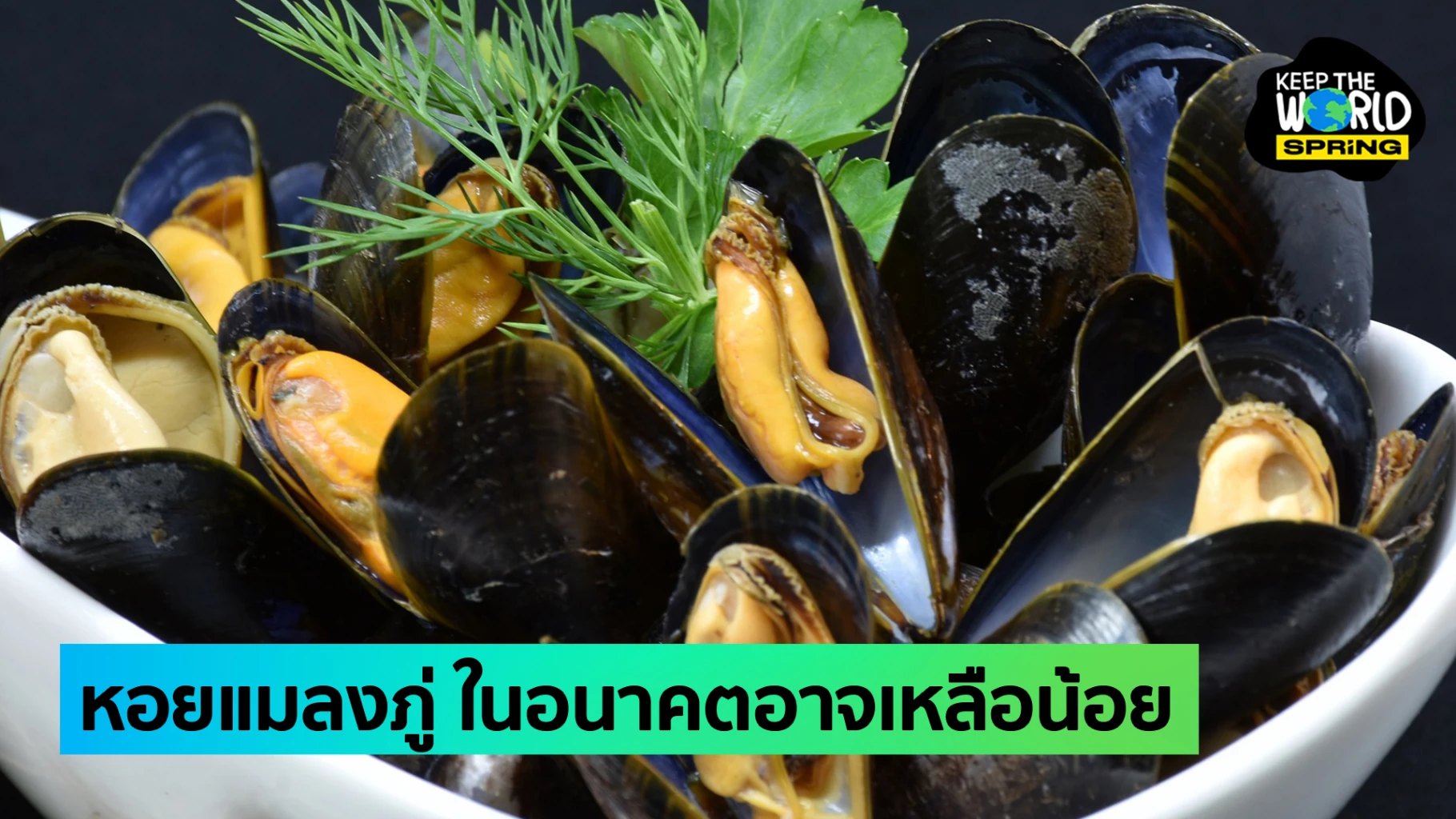 วิกฤตหอยแมลงภู่! วิจัยพบ หอยแมลงภู่เริ่มมีขนาดเล็กลง เพราะมลพิษในท้องทะเล