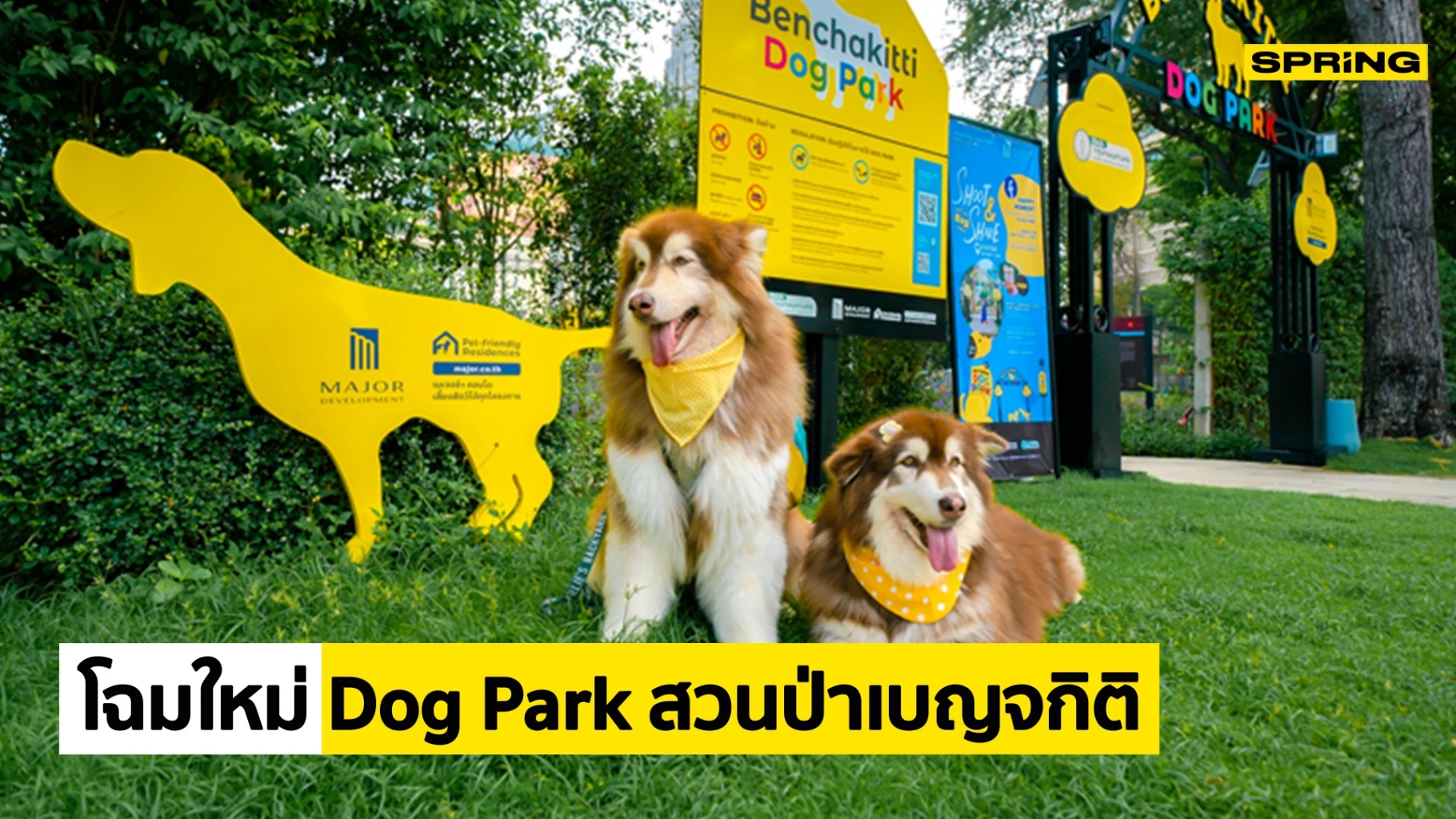 โฉมใหม่ Dog Park สวนป่าเบญจกิติ ปรับสภาพแวดล้อม จุดบริการชัด เพื่อคนรัก ...