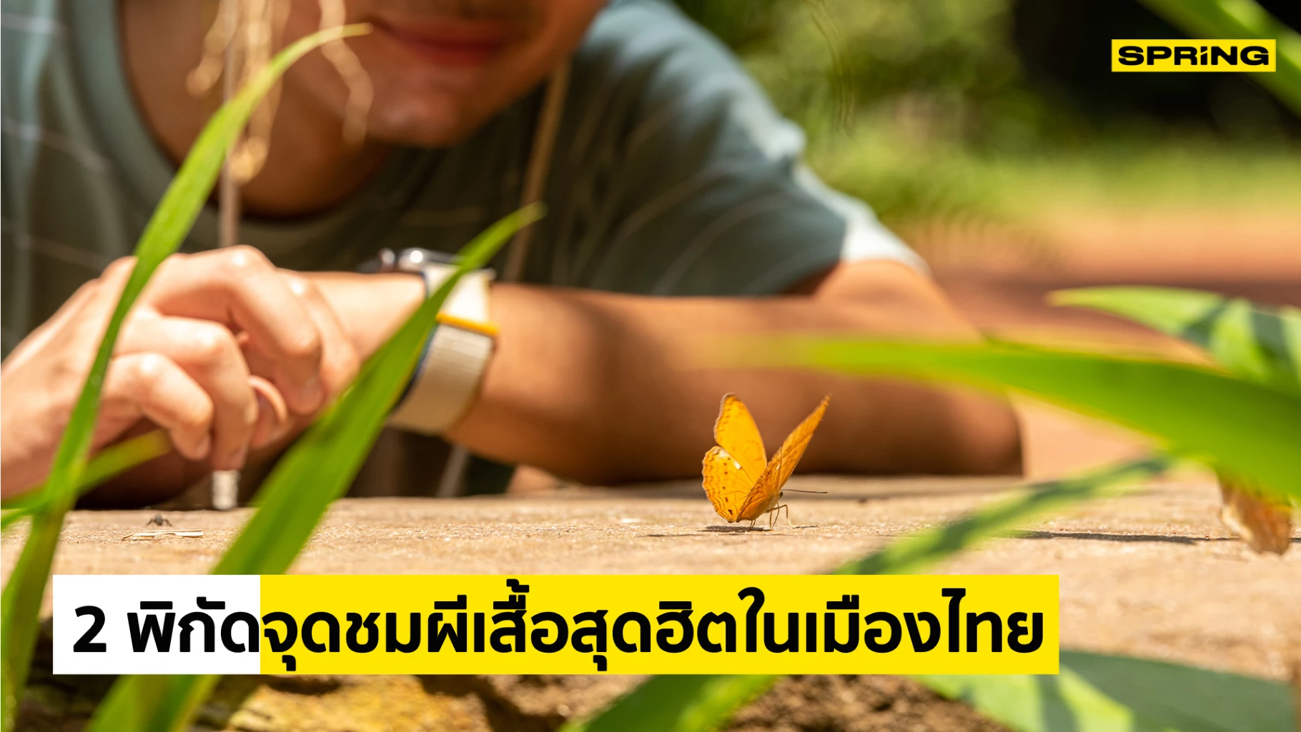 ชวนออกไปลั่นชัตเตอร์ เก็บภาพสวยกับ 2 พิกัด จุดชมผีเสื้อสุดฮิตในเมืองไทย