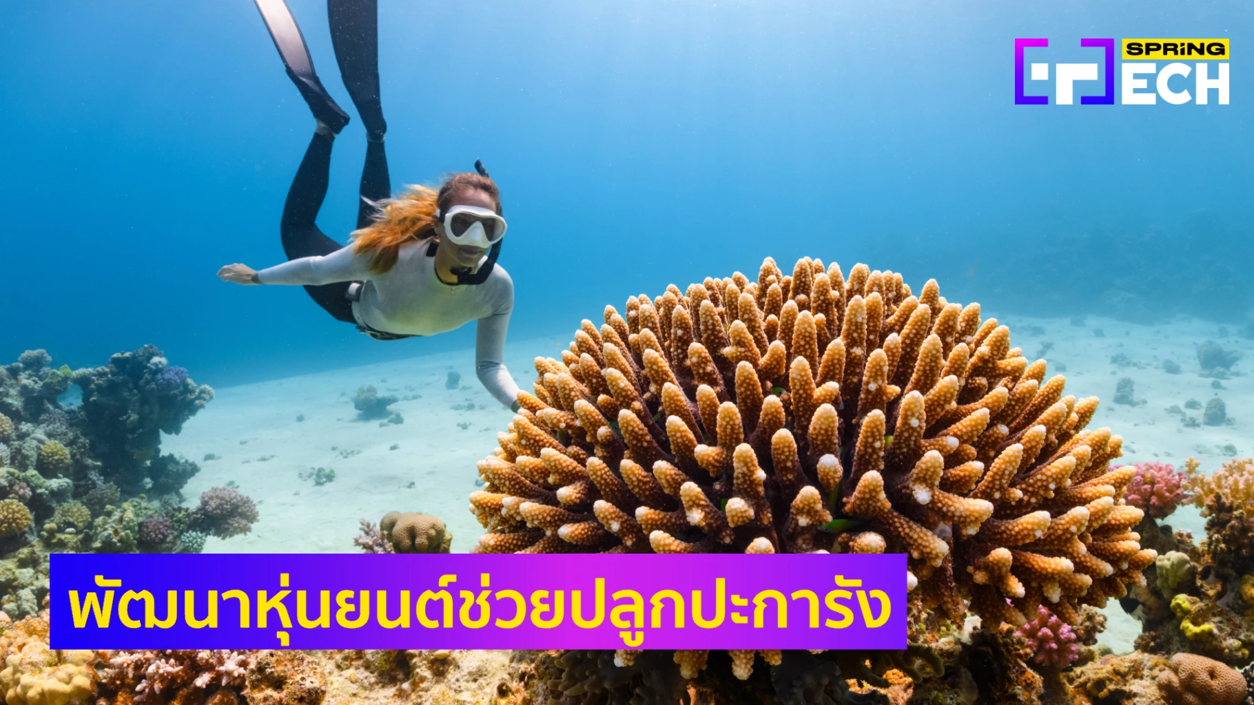 Coral Maker สร้างแขนหุ่นยนต์ ช่วยปลูกปะการัง หวังฟื้นฟูแนวปะการังที่พัง