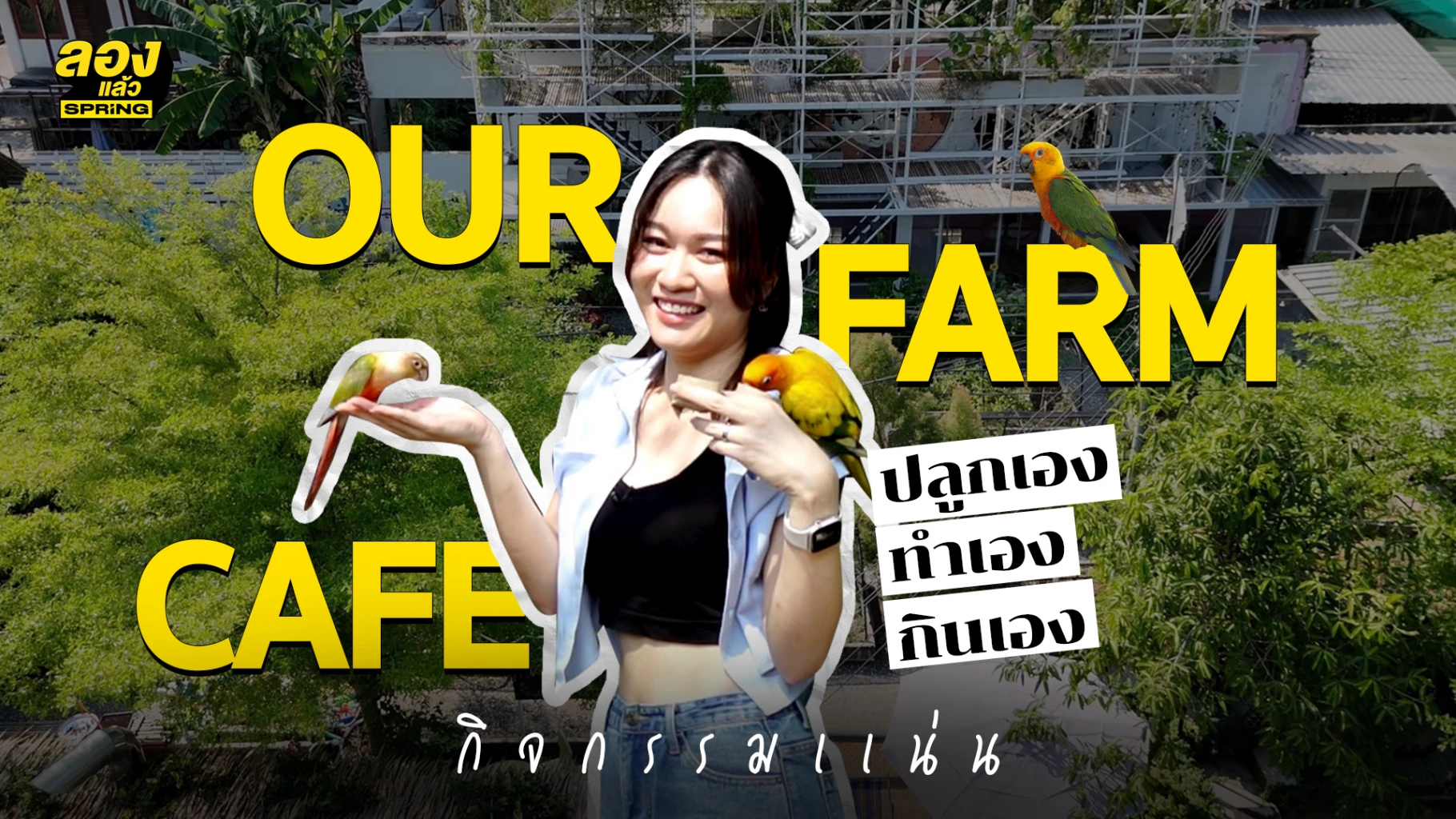 Our Farm Cafe กิจกรรมแน่น เวิร์คช็อปเพียบ