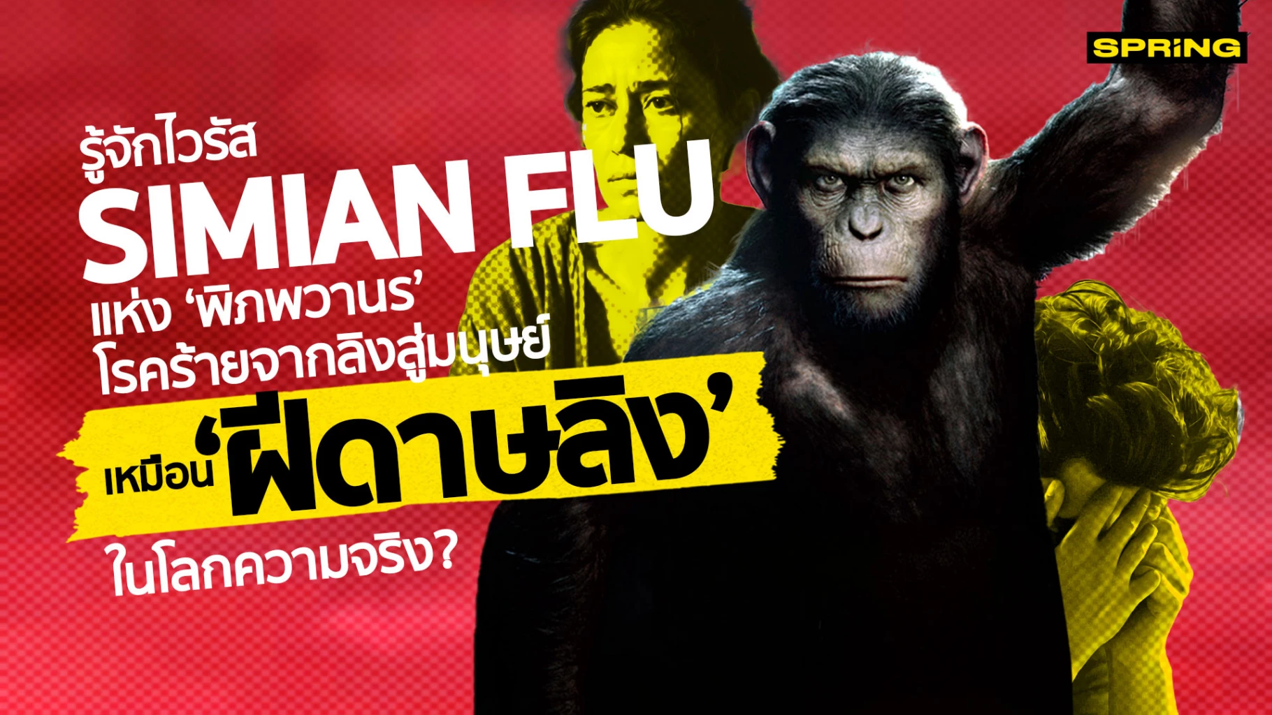 รู้จักไวรัส SIMIAN FLU แห่งพิภพวานร โรคร้ายเหมือน ‘ฝีดาษลิง’ ในโลกความ ...