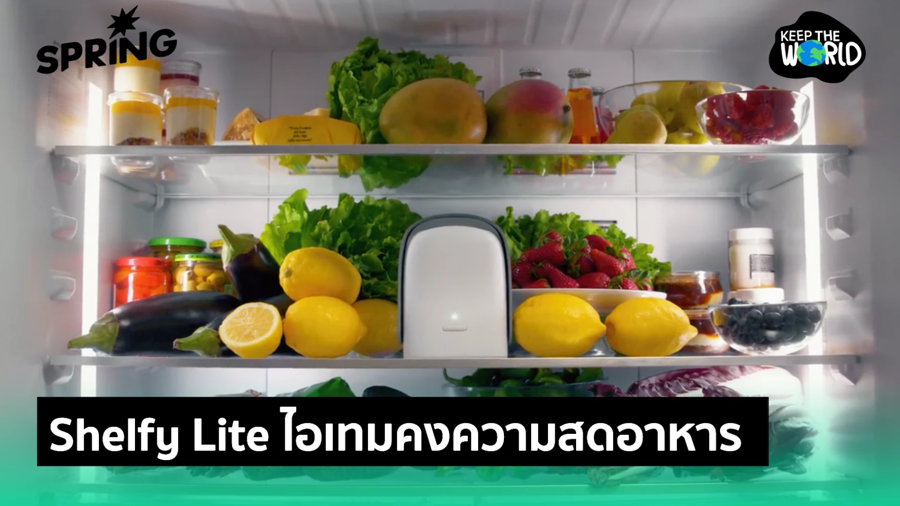 ชวนรู้จัก "Shelfy Lite" ไอเทมช่วยคงความสดของอาหาร ช่วยลด Food waste
